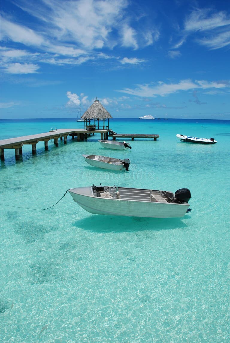 181 Polynesian Line Stock Photos - Free & Royalty-Free Stock Photos ...