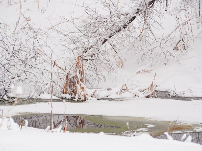 Polynya on the River. Winter Landscape. Stock Photo - Image of cold ...