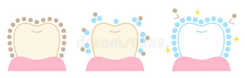Acid Tooth Stock Illustrations – 204 Acid Tooth Stock Illustrations ...