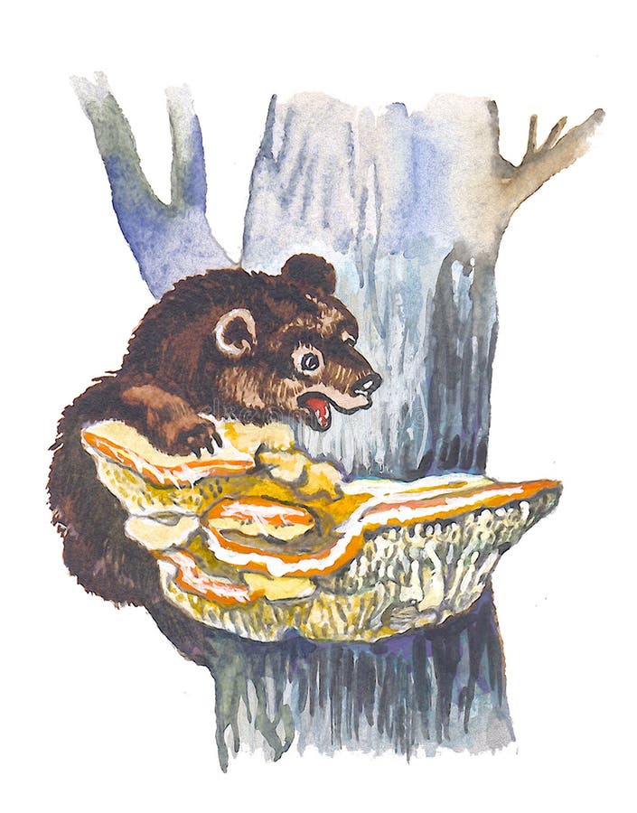 Polypore. stock illustration. Illustration of forest - 15678811