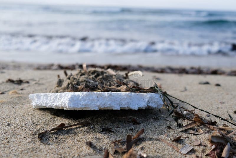 Polystyrene Garbage on Sandy Sea Shore on Sunset Golden Light,pollution ...