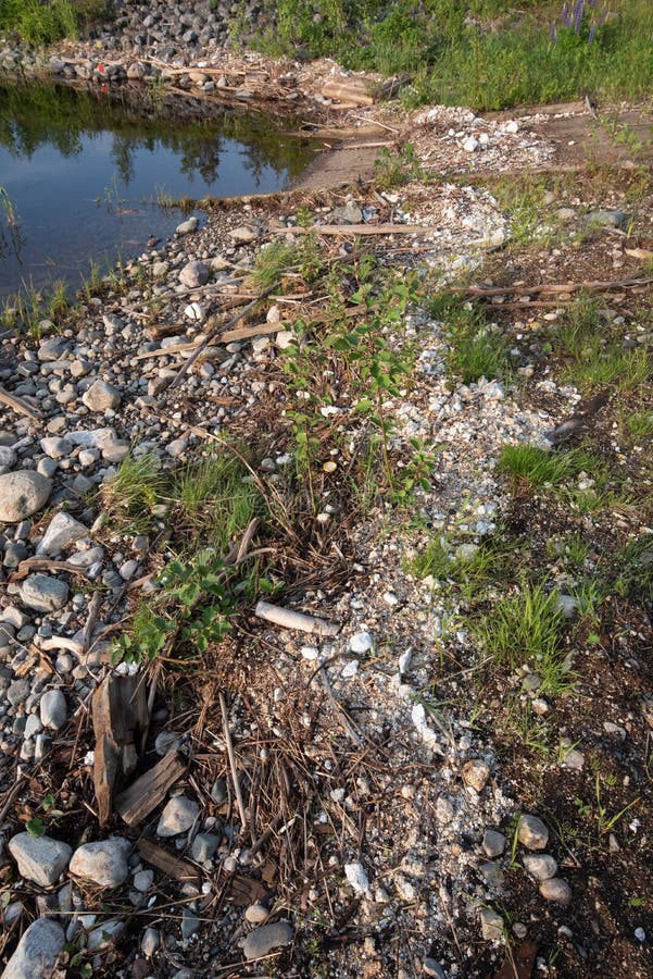 Polystyrene, Styrofoam Garbage on the Shore Stock Image - Image of rock ...