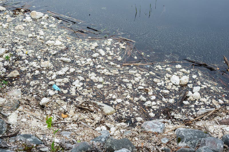 Polystyrene, Styrofoam Garbage on the Shore Stock Photo - Image of ...