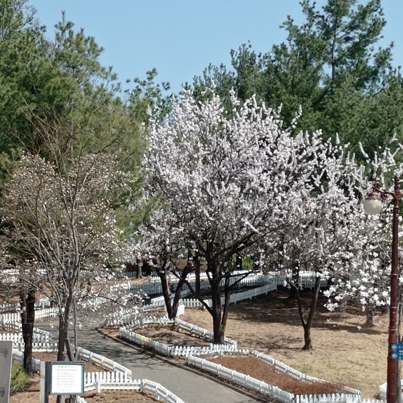 Politer Stock Photos - Free & Royalty-Free Stock Photos from Dreamstime