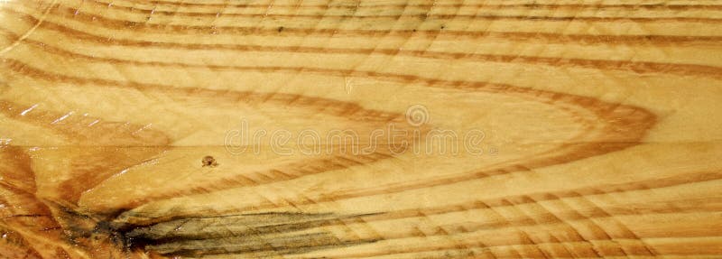 Plain pine wood background stock image. Image of textured - 32260135