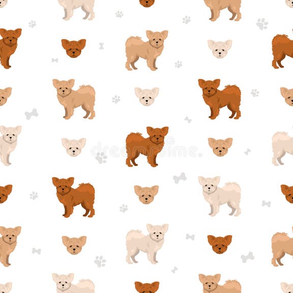 Pomapoo Seamless Pattern. Pomeranian Poodle Mix Stock Vector ...