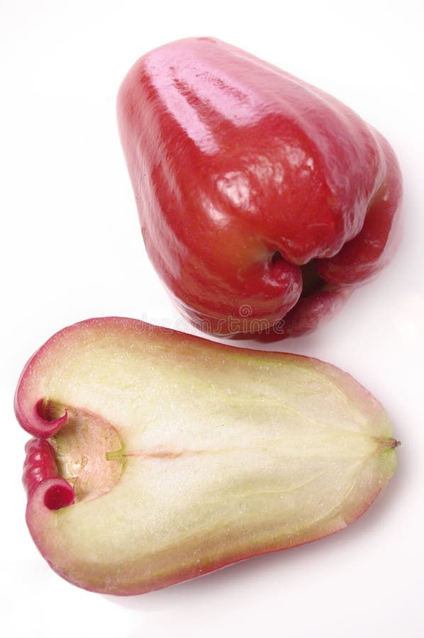 Pomarrosa imagen de archivo. Imagen de manzana, rosa, asia - 9985893