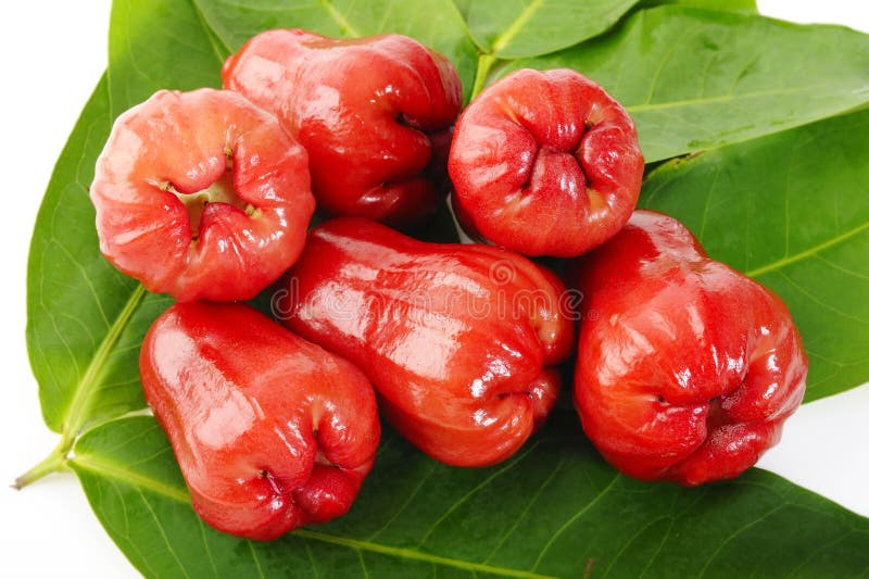 Pomarrosas En La Hoja Verde Imagen de archivo - Imagen de rebanada ...