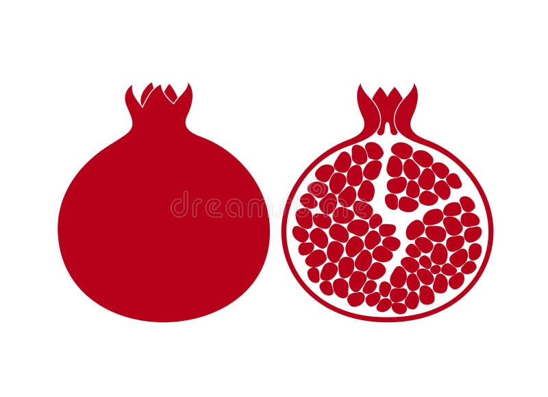 Pomegranate. Abstract Granate Stock Vector - Illustration of granate ...