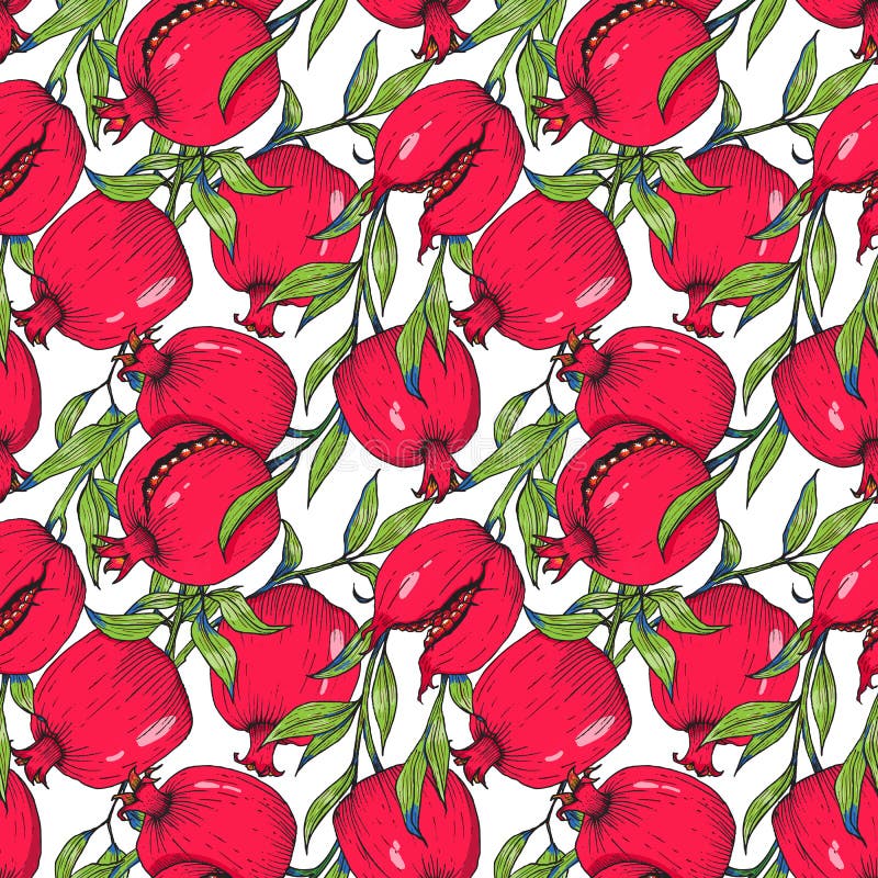 Pomegranate fruit pattern stock vector. Illustration of print - 62563499