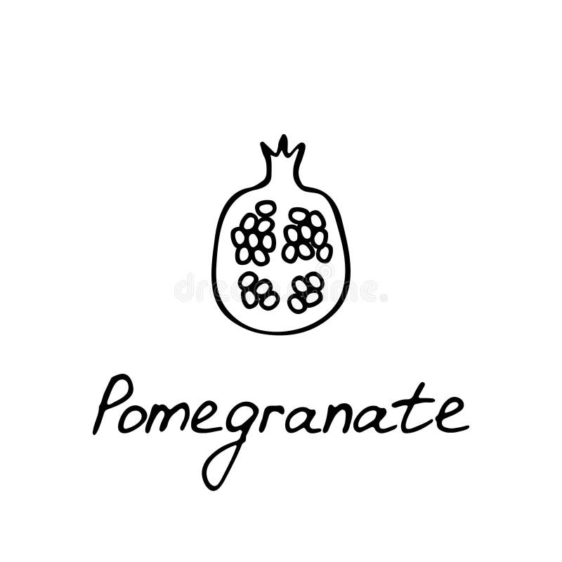 Pomegranate Hand Drawn Icon. Garnet Logo for Print and Web Stock Vector ...