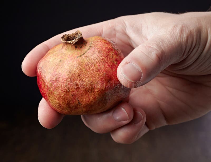 Pomegranate in a hand stock image. Image of agriculture - 36101249