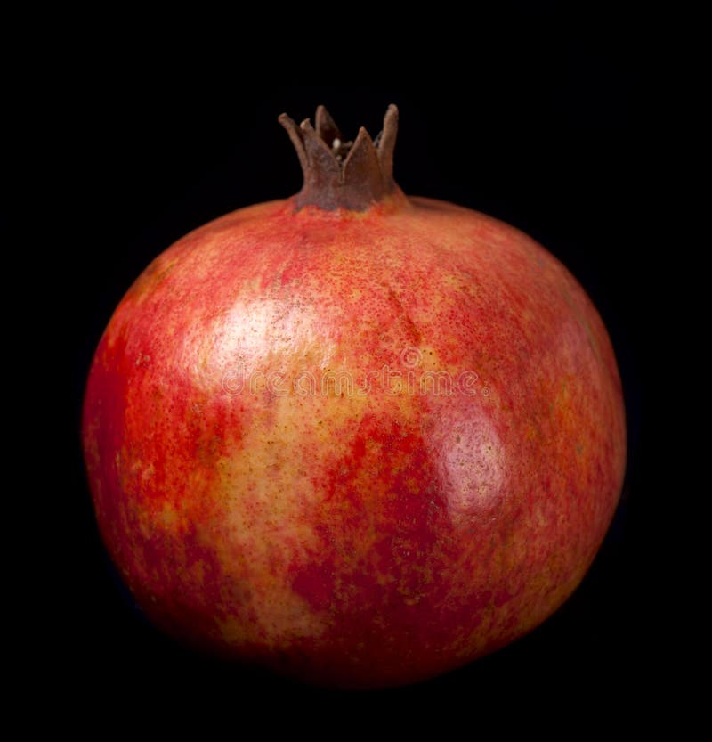 Black Pomegranate Growing On A Tree Stock Photo - Image of fresh ...