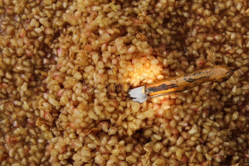 Pomegranate and Its Pieces Around. Thick Syrup Making Process Stock ...