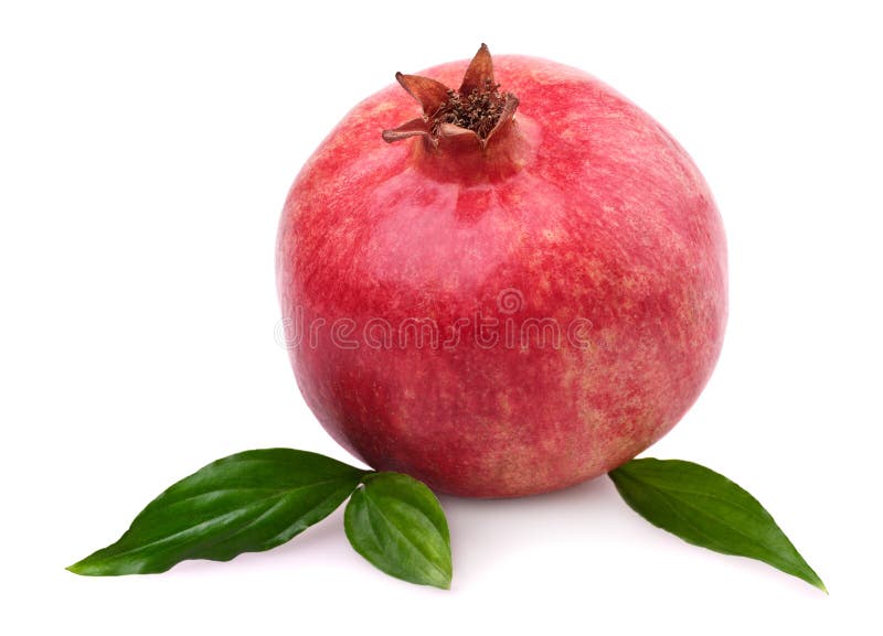Pomegranate with leaves stock photo. Image of healthy - 17693800