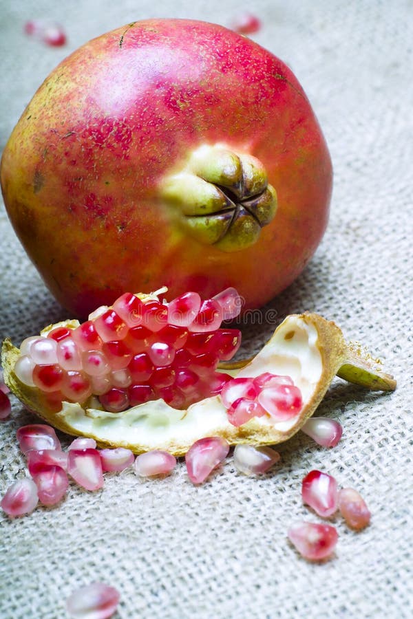 Pomegranate - Punica Granatum, Called Anar or Dalim or Bedana Fruit ...