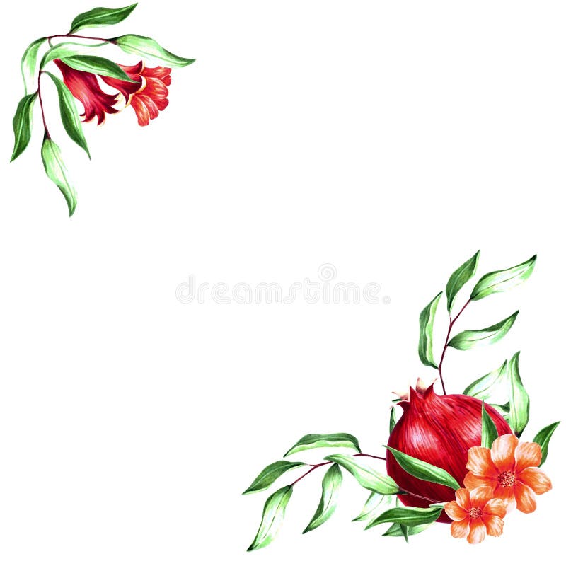 Border Frame of Pomegranate with Leaves, Buds and Blossoms, Hand Drawn ...