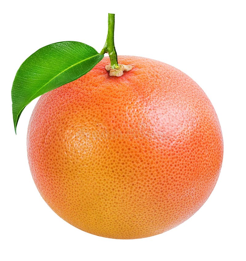 Pomelo aislado en blanco foto de archivo. Imagen de medio - 109465708