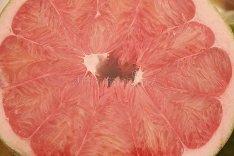 Pomelo or Chinese Grapefruit Stock Image - Image of leaf, pomelmus ...