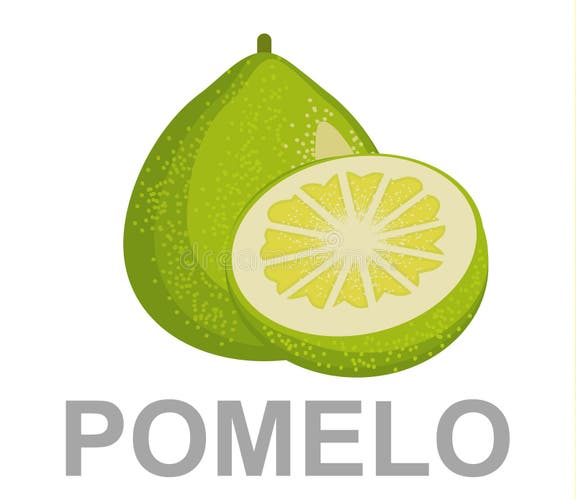 Pomelo Logo Stock Illustrations – 331 Pomelo Logo Stock Illustrations ...
