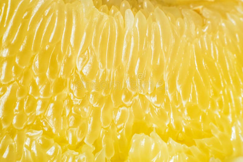 Pomelo fruit macro. stock photo. Image of healthy, citrus - 174439316