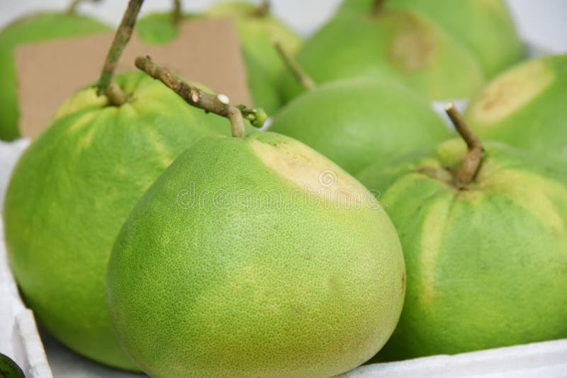 Pomelo. stock image. Image of pomela, pamela, sweet - 138260399