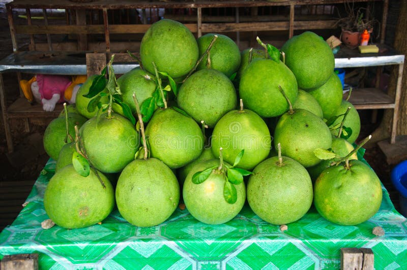 Pomelo fruit on shelves stock image. Image of closeup - 45582759