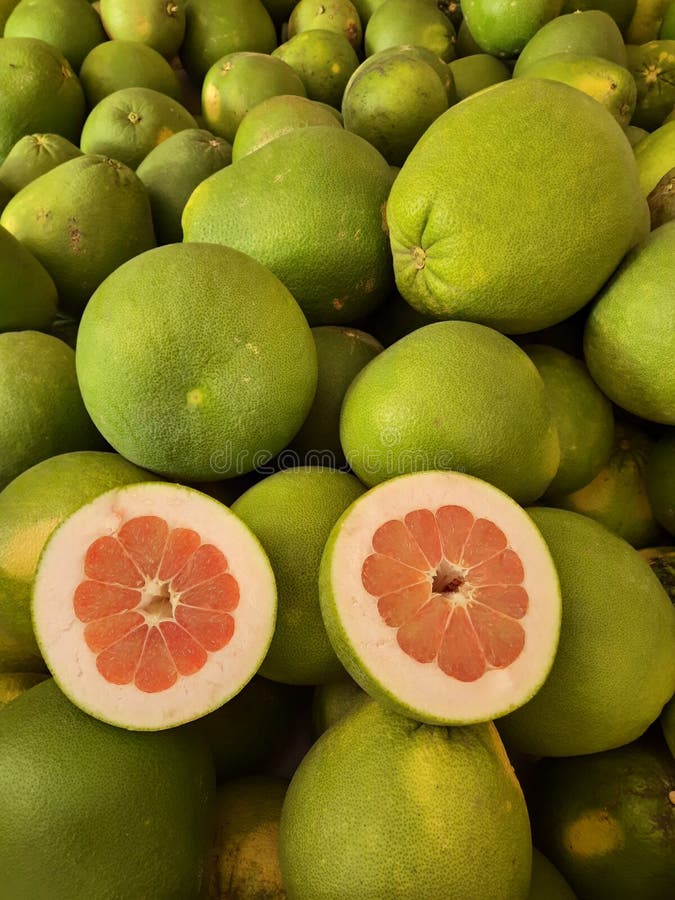 Big Pomelo Fruits or Grapefruit on the Tree Stock Image - Image of ...