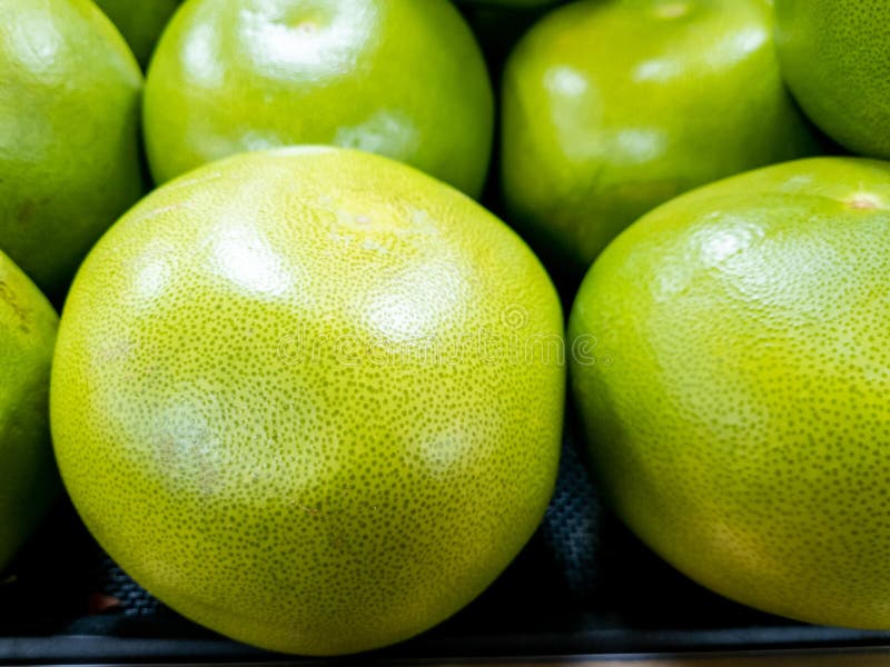 Pomelo stock image. Image of grapefruit, sweet, plant - 262408027