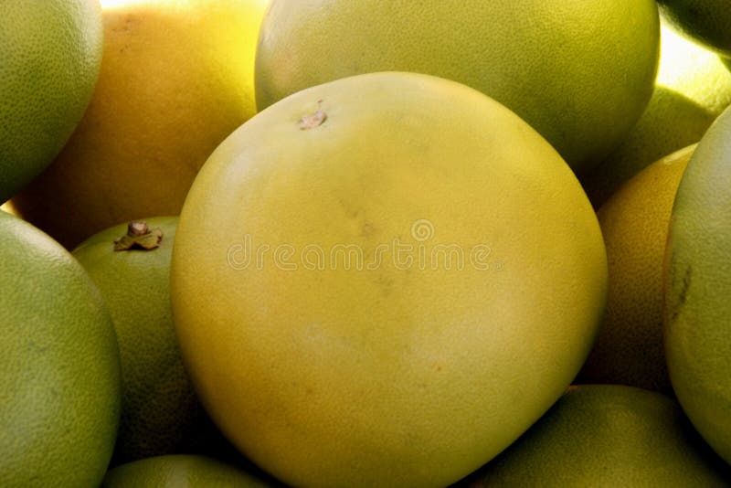 Pomelo Pummelo, Shaddok, Citrusa Maximum Arkivfoto - Bild av störst ...