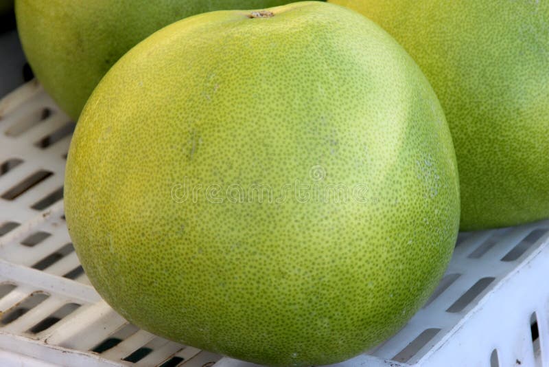 Pomelo Pummelo, Shaddok, Citrusa Maximum Arkivfoto - Bild av störst ...