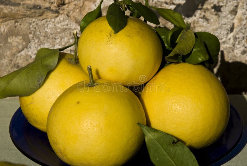 Cuatro pomelos imagen de archivo. Imagen de fruta, sano - 17582123