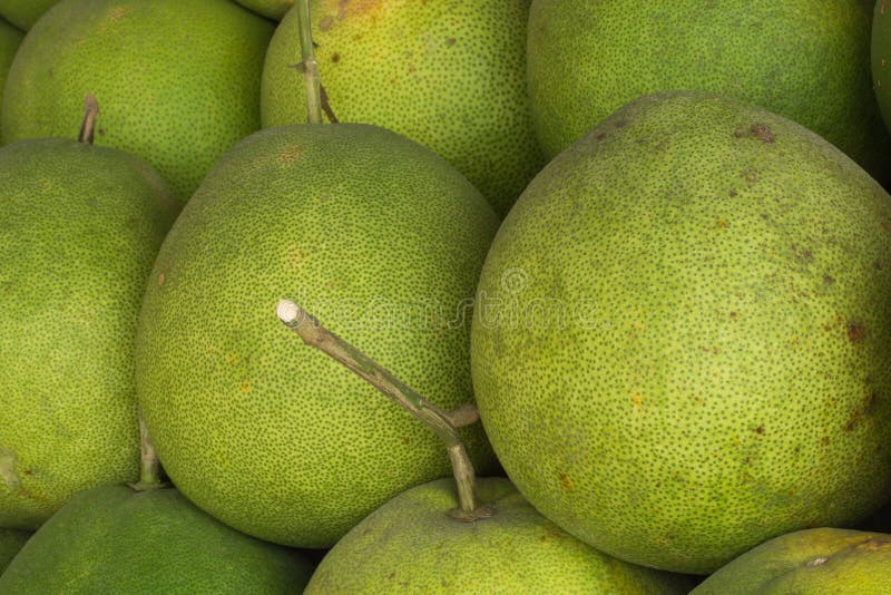Pomelos verdes imagen de archivo. Imagen de viejo, amargo - 83607719