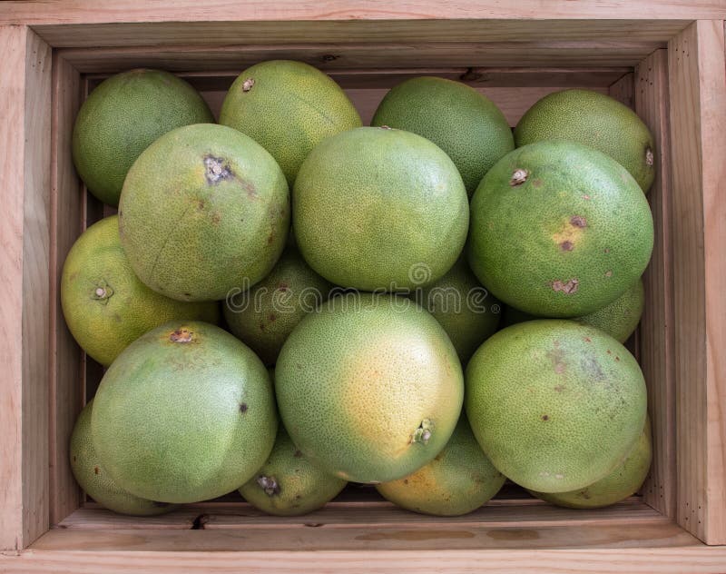 Pomelos stock image. Image of asian, rind, natural, green - 6038647