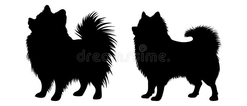 Pomeranian Spitz in Different Poses. Dog Breed Silhouette Stock Vector ...