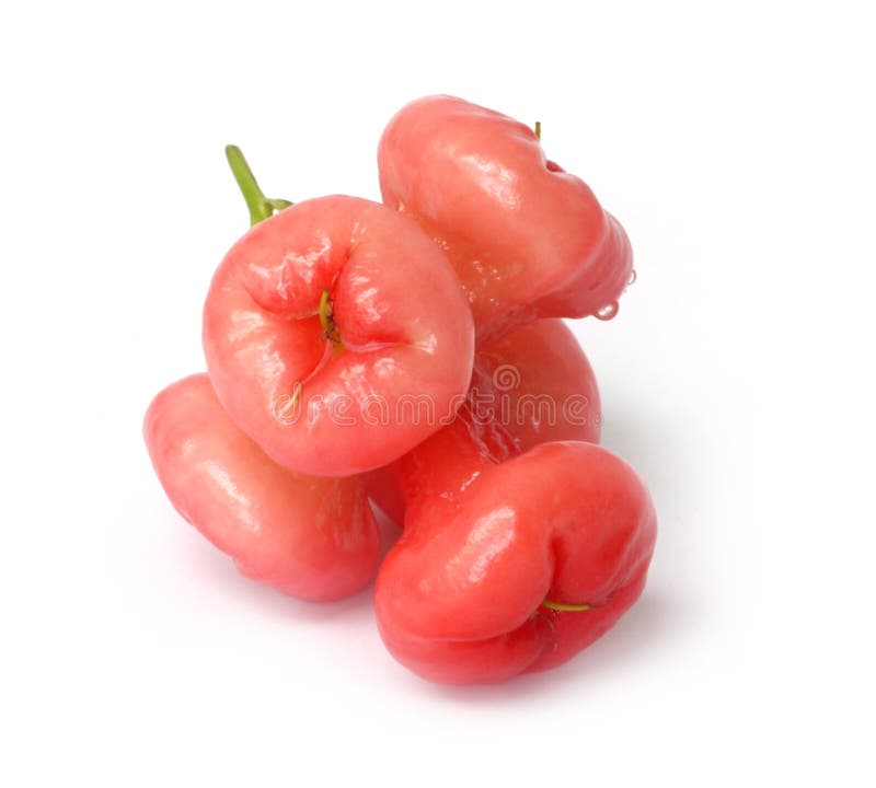 Pomme De L'eau Ou Pomme Rose Image stock - Image du exotique, frais ...