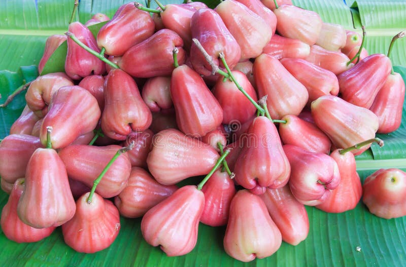 Pomme de Rose au sol photo stock. Image du centrale, fruits - 85771680
