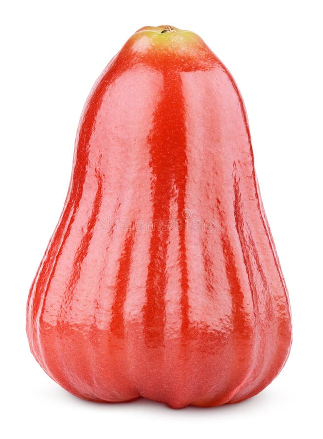 Pomme de Rose au sol photo stock. Image du centrale, fruits - 85771680