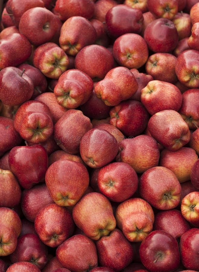 Pomme red delicious image stock. Image du sain, vert, mûr - 3370073