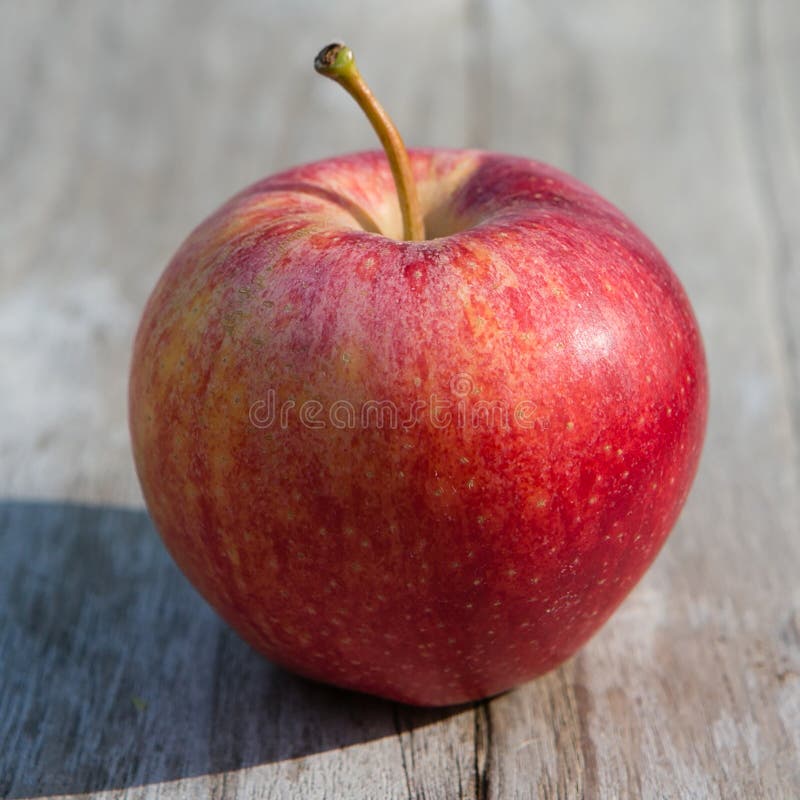 Pommes rouges photo stock. Image du normal, pommes, lumière - 77759414