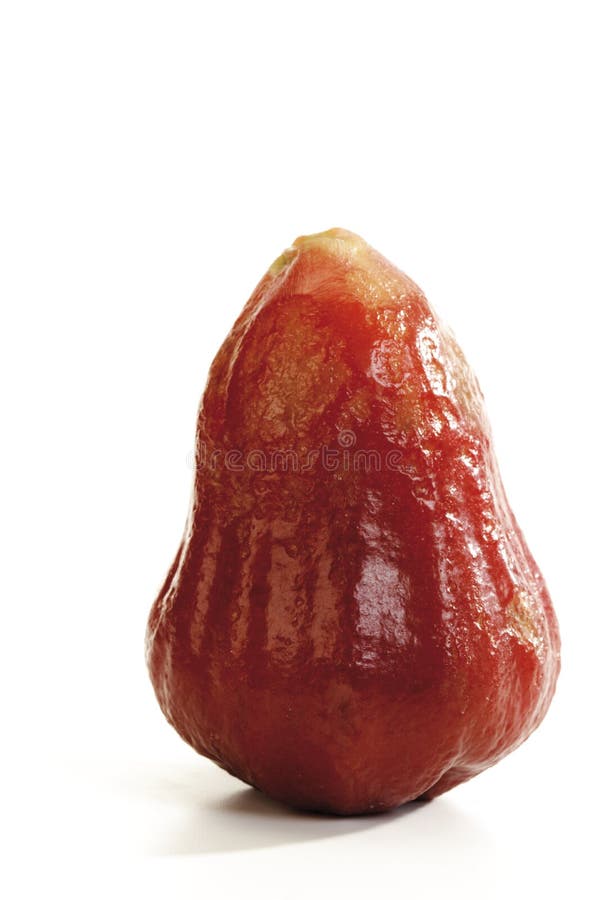 Pomme Rouge De Java (samarangense De Syzygium Ou Javanica D'Eugenia ... Pomme Rouge De Java (samarangense De Syzygium Ou Javanica D'Eugenia ...