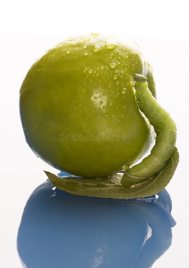 Pomme verte avec ver image stock. Image du vivacité, propreté - 2130393