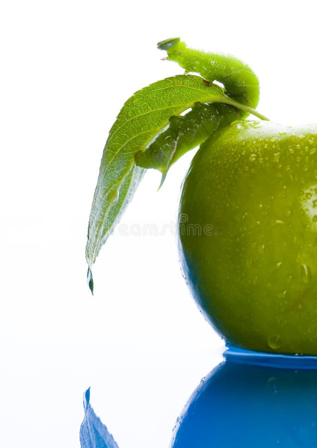 Pomme verte avec ver image stock. Image du lame, nourritures - 2130399
