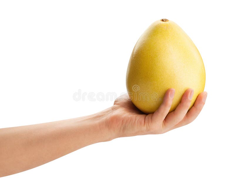 Pommelo stock image. Image of healthy, isolated, ripe - 177970593