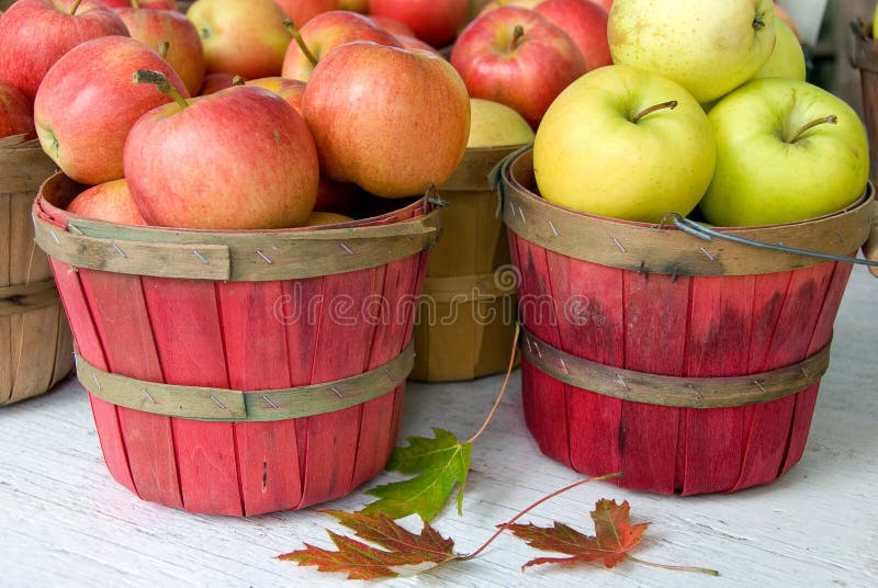 Paniers Des Pommes Du Michigan Image stock - Image du doux, paniers ...