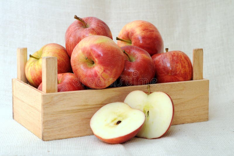 Pommes de gala image stock. Image du délicieux, mangez - 29237475