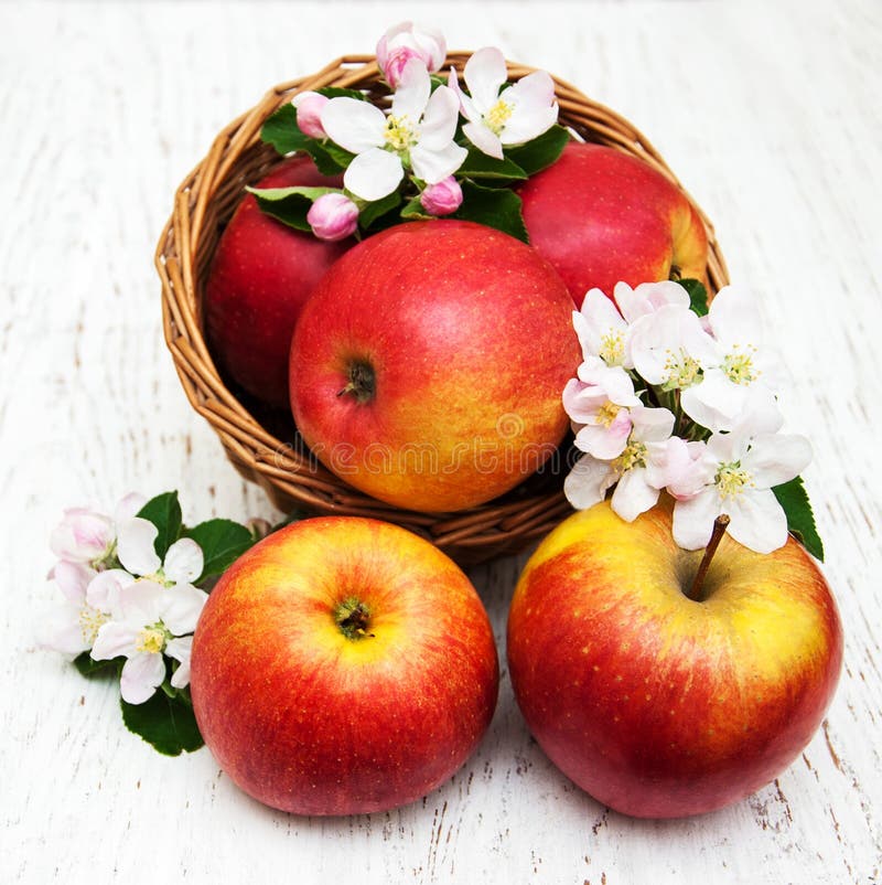Pommes Et Fleurs De Pommier Photo stock - Image du floral, manger: 55904162