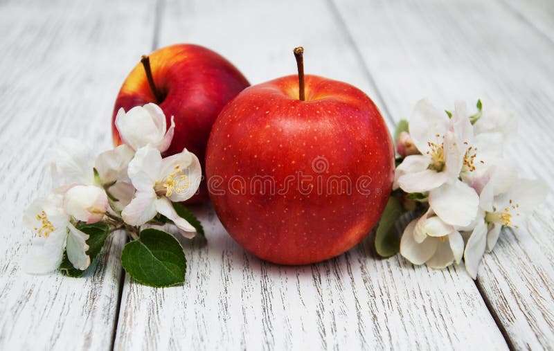 Pommes Et Fleurs De Pommier Photo stock - Image du floral, organique ...
