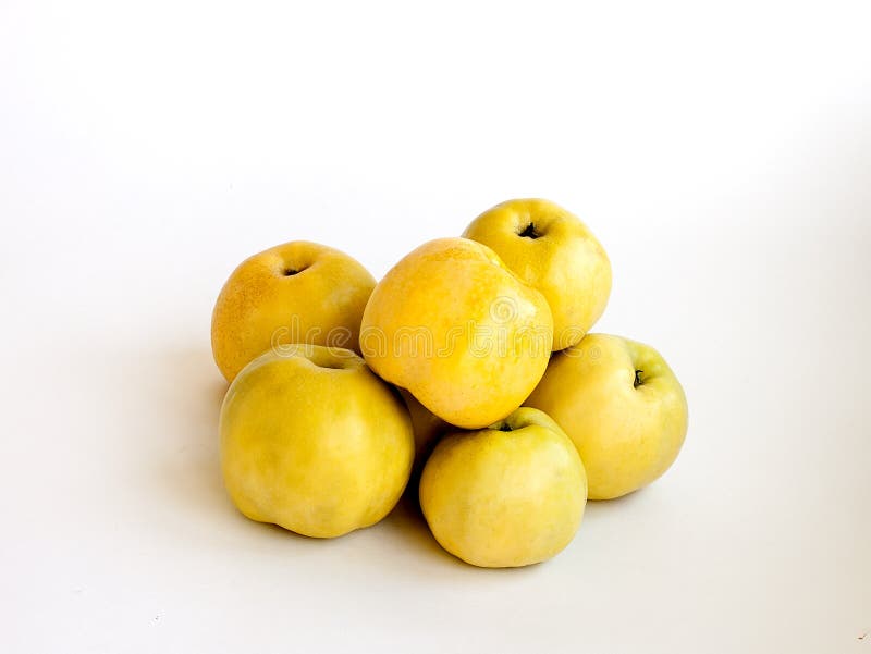 Pommes Jaunes D'Antonovka Sur La Branche De Pommier Image stock - Image ...