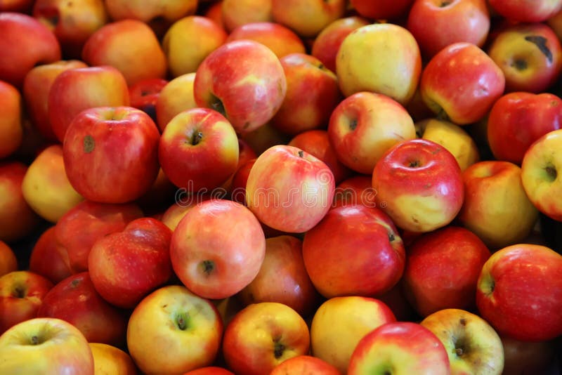 Pommes rouges image stock. Image du cultivé, fruits, nourriture - 11195785